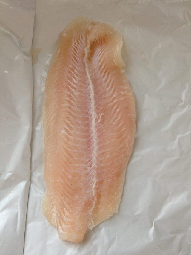 Striped catfish