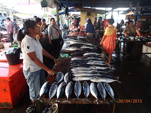 Skipjack Tuna